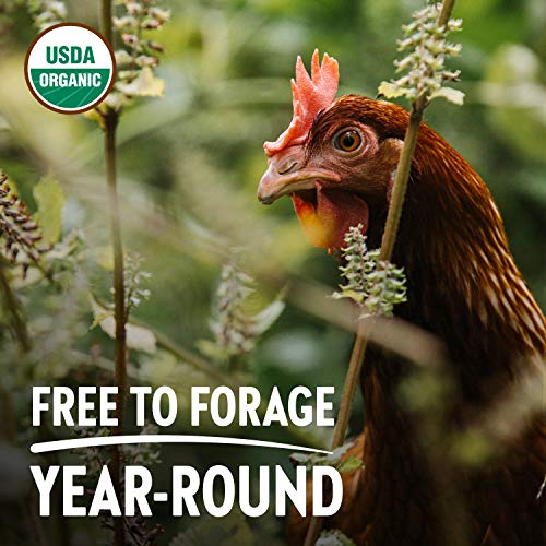 Vital Farms Organic Pasture Raised Eggs Large Brown, 12 Count