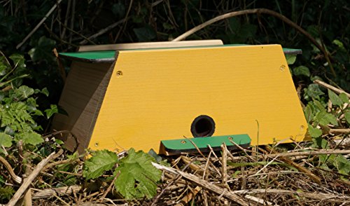 Wildlife World Bumblebee Nester Wooden House - Pollinator Bee Habitat (Green/Yellow)