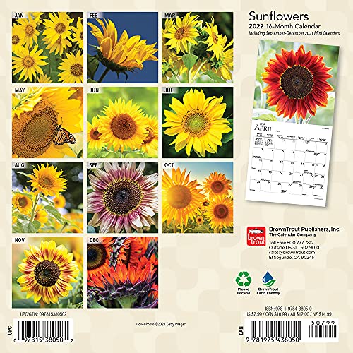 Sunflowers 2022 7 x 7 Inch Monthly Mini Wall Calendar, Flower Outdoor Plant