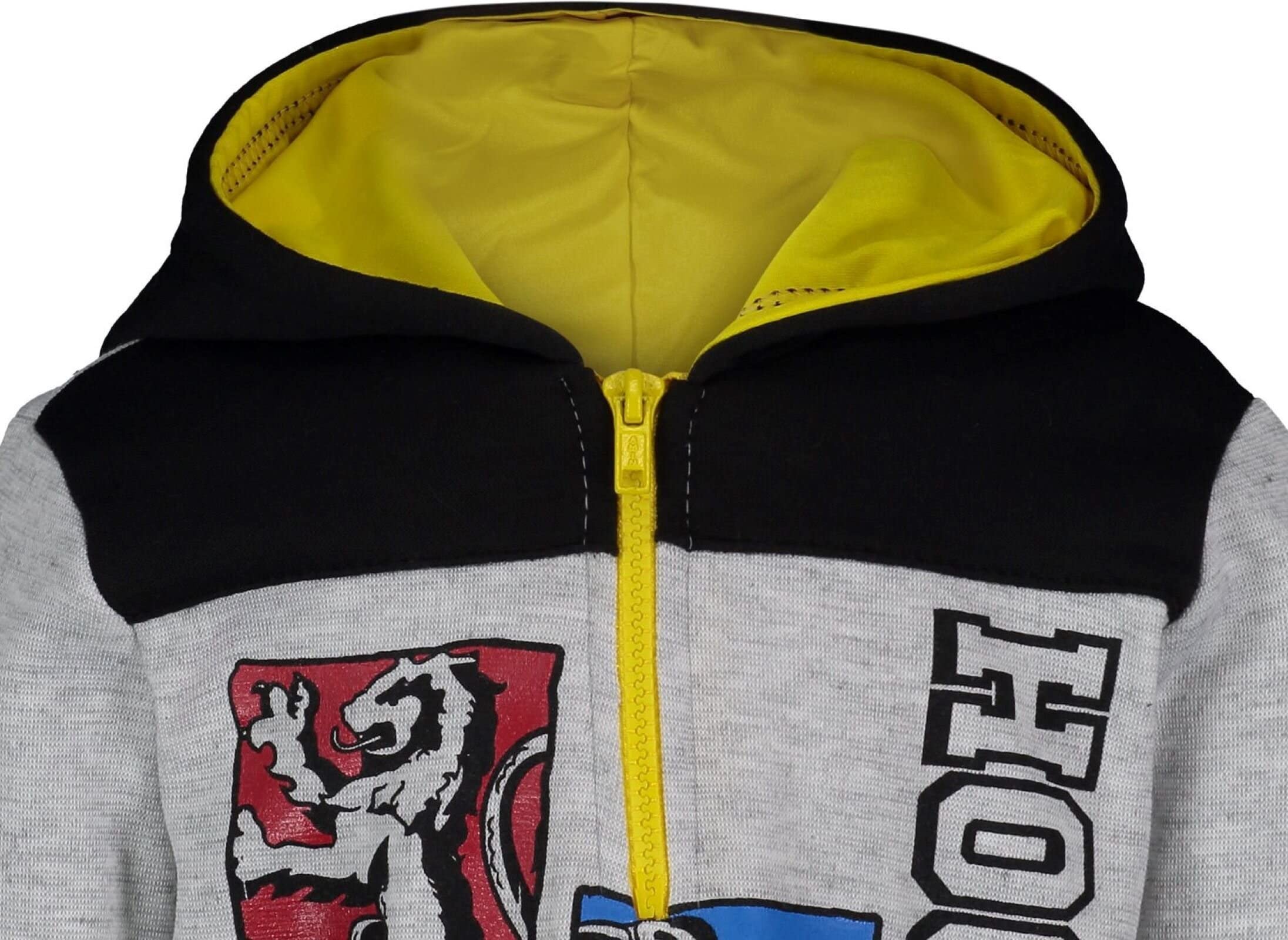 WARNER BROS Harry Potter Toddler Boys Fleece Half Zip Hoodie Gray 3T
