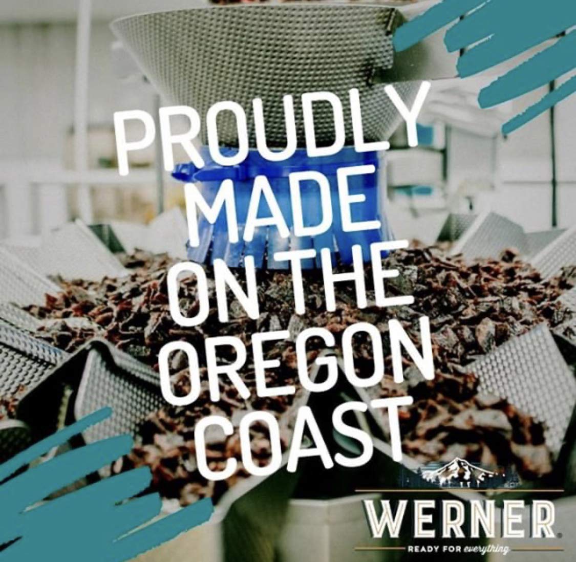 Werner Premium Steak Bites All-Natural Half Pounder Bag – 8 Ounce Resealable Bag of Premium Steak Jerky Bites Smoked Beef Snack (Honey Glazed)