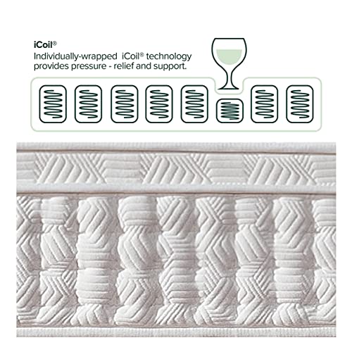 ZINUS 12 Inch Euro Top Pocket Spring Hybrid Mattress, Full, Pressure Relief, Pocket Innersprings for Motion Isolation, Mattress in A Box