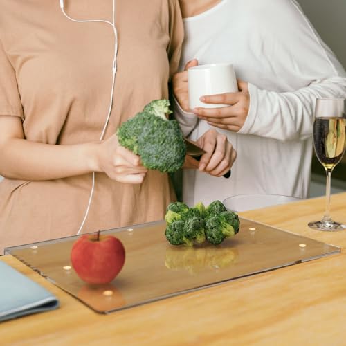 YUYUOA Acrylic Cutting Board for Kitchen Counter with Lip,Clear Cutting Board for Countertop,Transparent Acrylic Non Slip Chopping Boards for Countertop,Clear Cutting Boards for Kitchen(14"X10")