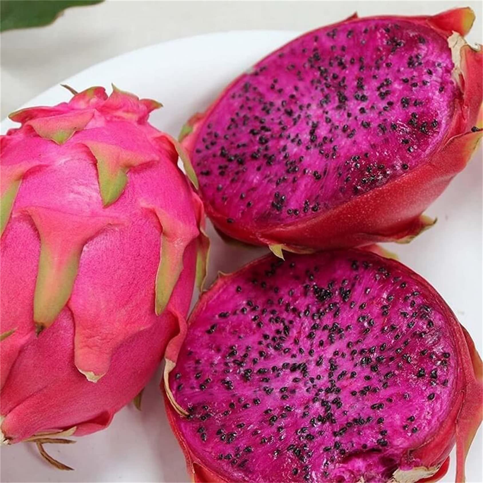 zcbang Natural Fruit Seeds Bonsai Pitaya Seeds Dwarf Dragon Fruit Seeds 100Pcs