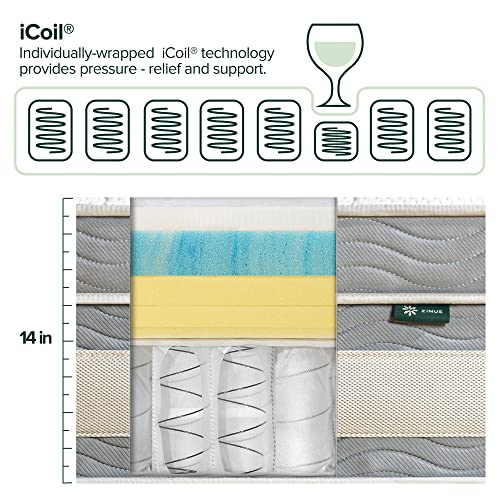 ZINUS 14 Inch Green Tea Cooling Gel Memory Foam Hybrid Mattress, Queen, Pocket Innersprings for Motion Isolation, Mattress in A Box