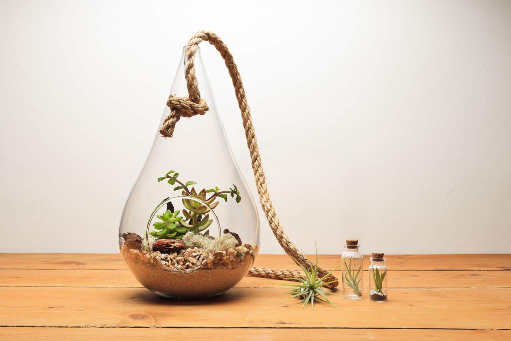 WGV Hanging Planter Terrarium, Width 6", Height 11", DIY Clear Glass Succulents Air Teardrop Floral Container (Including Rope), Candle Holder Vase for Outdoor Indoor Decor, 1 Piece