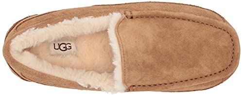 UGG Men's Ascot Slipper, Chestnut, 11