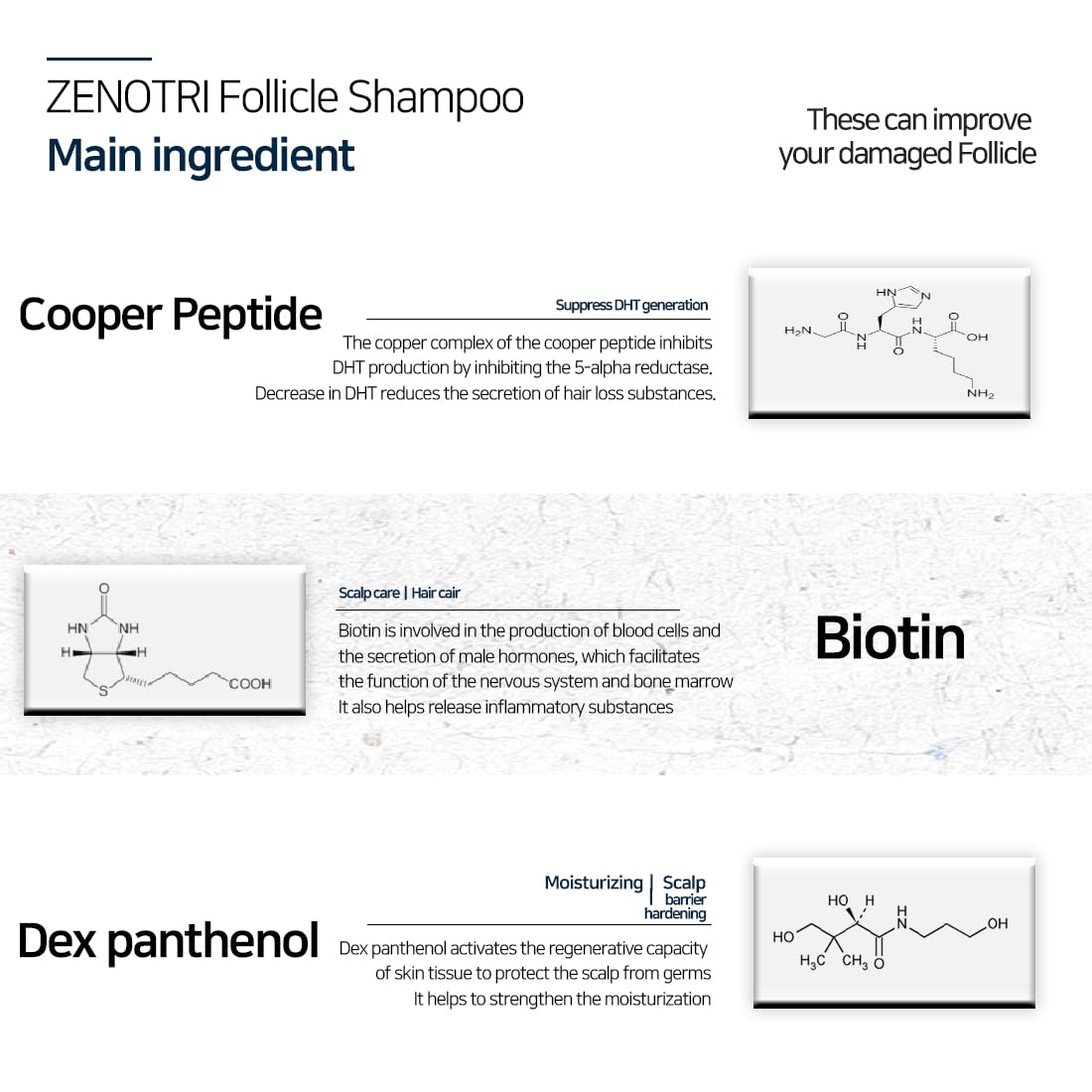 ZENOTRI Follicle Shampoo Hair loss Zero with Copper peptide, Biotin, Dexpanthenol, Pyrithione Zinc/Genetic Hair Care Solution