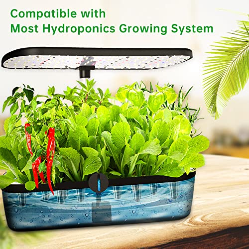 YETTSE Hydroponics Sponge Grow Sponges,Eco-Friendly Plant Growing Plugs Sponges,Seed Starter Sponge Pods,Organic, Sustainable100% Coco Coir Seed Sponges,50 Pack