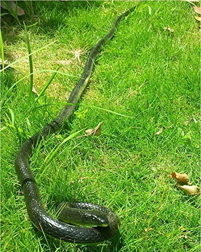 Yoogeer 47 Inches Rubber Lifelike Snakes Scary Gag Gift Incredible Creatures Chain Snakes Rain Forest Snake Toys Wild Life Snakes