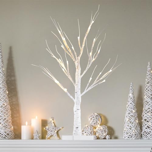 YEAHOME 2FT/24β Birch Tree Light with 24LT Warm White LEDs Battery Powered Timer for Christmas Decorations Indoor, Money Trees for Winter Wedding Desk Table Top Mantel Home Easter Decor
