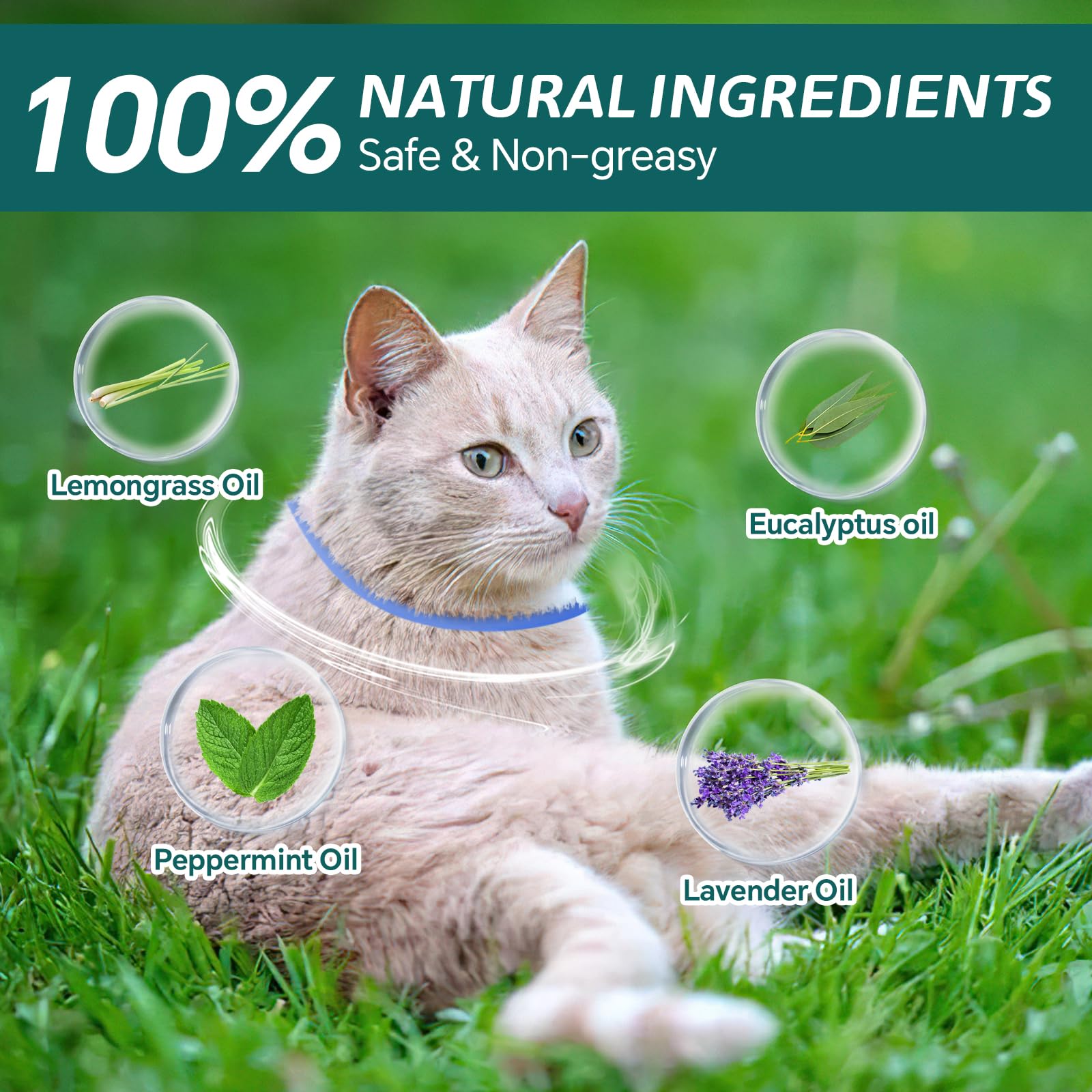 Woyamay 4 Pack Flea Collar for Cats, Luminous Cat Flea Collars, Natural Cat Flea Collar, 8-Month Flea and Tick Prevention for Cat, Adjustable & Water Resistant Cat Flea and Tick Collar, Gray