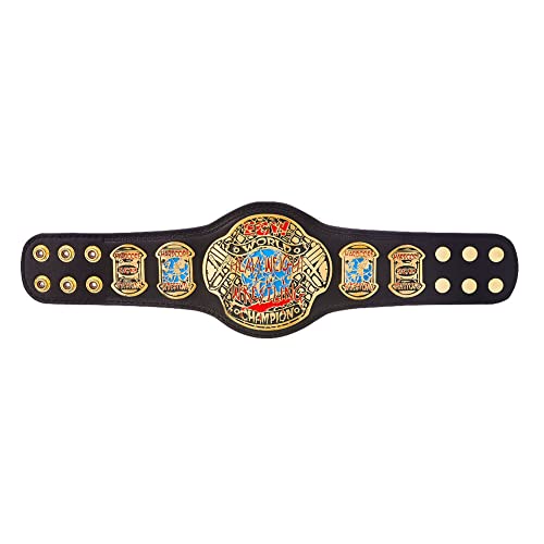 WWE Authentic Wear ECW World Heavyweight Championship Mini Replica Title Belt Multi