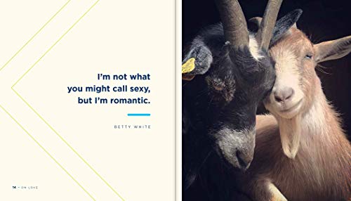 You've Goat This: Wisdom to Get You Through the Good, the Baaad, and Everything in Between