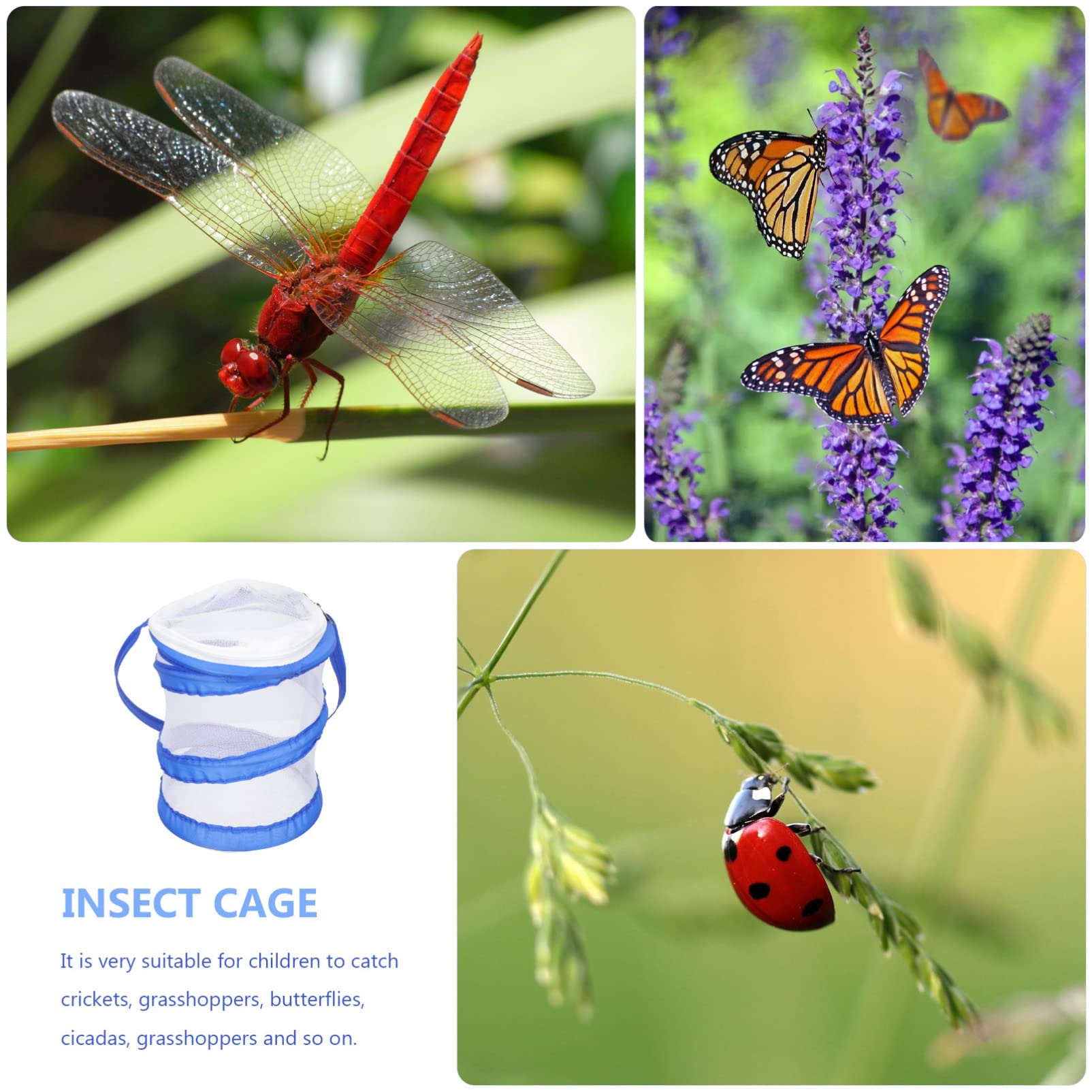 Vaguelly Butterflies Mini and Habitat Cage Portable Net Observation Cage for Kids Children Outdoor Toys