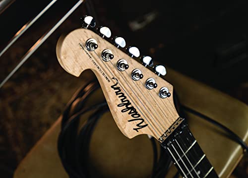 Washburn 6 String Solid-Body Electric Guitar, Natural Distressed (N4VINTAGE-D)