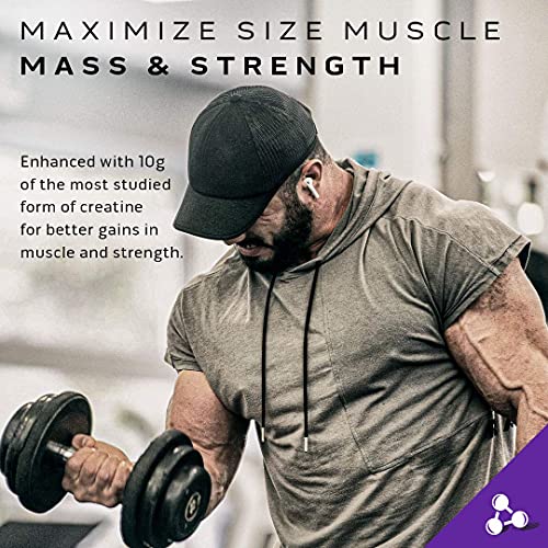 Weight Mass Gainer Protein Powder | MuscleTech Mass-Tech Elite Mass Gainer for Muscle Gain | Whey Protein Powder + Muscle Builder | Creatine Supplements | Vanilla Cake, 7 lbs