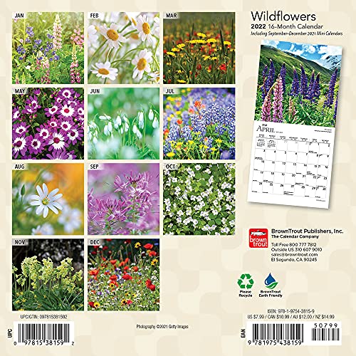 Wildflowers 2022 7 x 7 Inch Monthly Mini Wall Calendar, Flower Outdoor Plant
