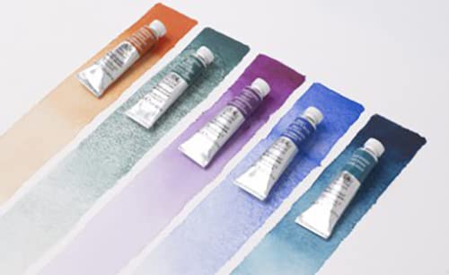 Windsor & Newton Artists Water 5ML Tube 12C Set (Japan Import)
