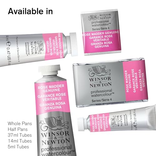 Winsor & Newton Professional Watercolor, 14ml (0.47-oz) Tube, Payne's Gray