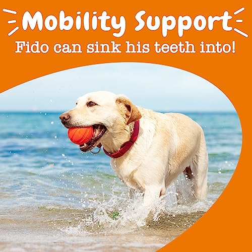 Zesty Paws OraStix for Dogs - Hip & Joint Mobility Sticks with Hemp Seed Curcumin Eggshell Membrane Taurine Support for HIPS Joints Cartilage Health Proprietary Healthy Teeth Gum Blend 25oz