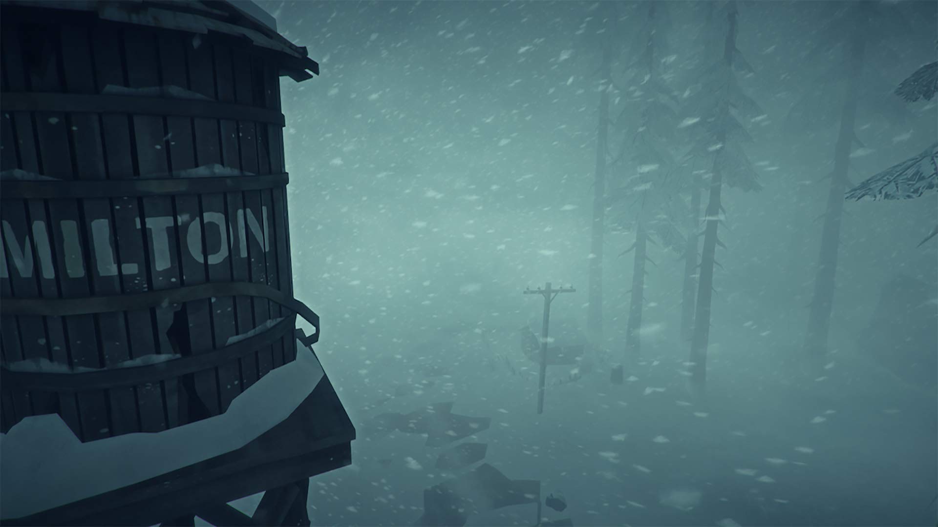 The Long Dark (PS4)