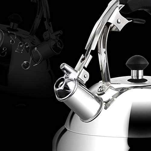 ZNZN Stove Kettle Large Capacity Kettle-Creative Silver Food Grade Stainless Steel Teapot with Ergonomic Handle (2.6L,87.9OZ) Multifunctional Water Kettle