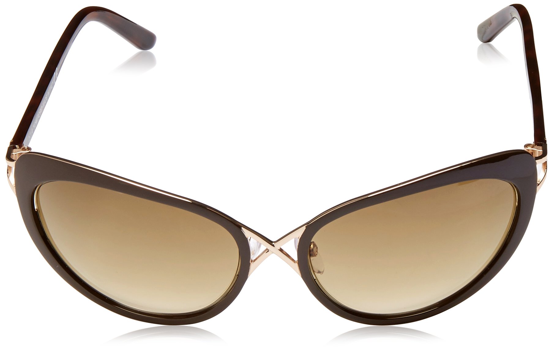 Tom Ford Daria Sunglasses, Brown/Gold