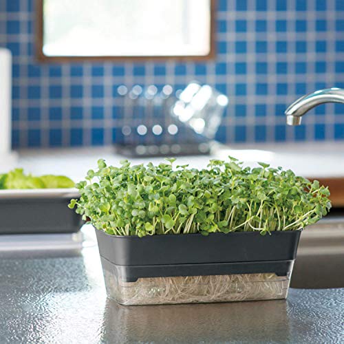 リッチェル Richell 002298 Sprout Farm Type 12 N Dark Gray, Set of 3, Made in Japan