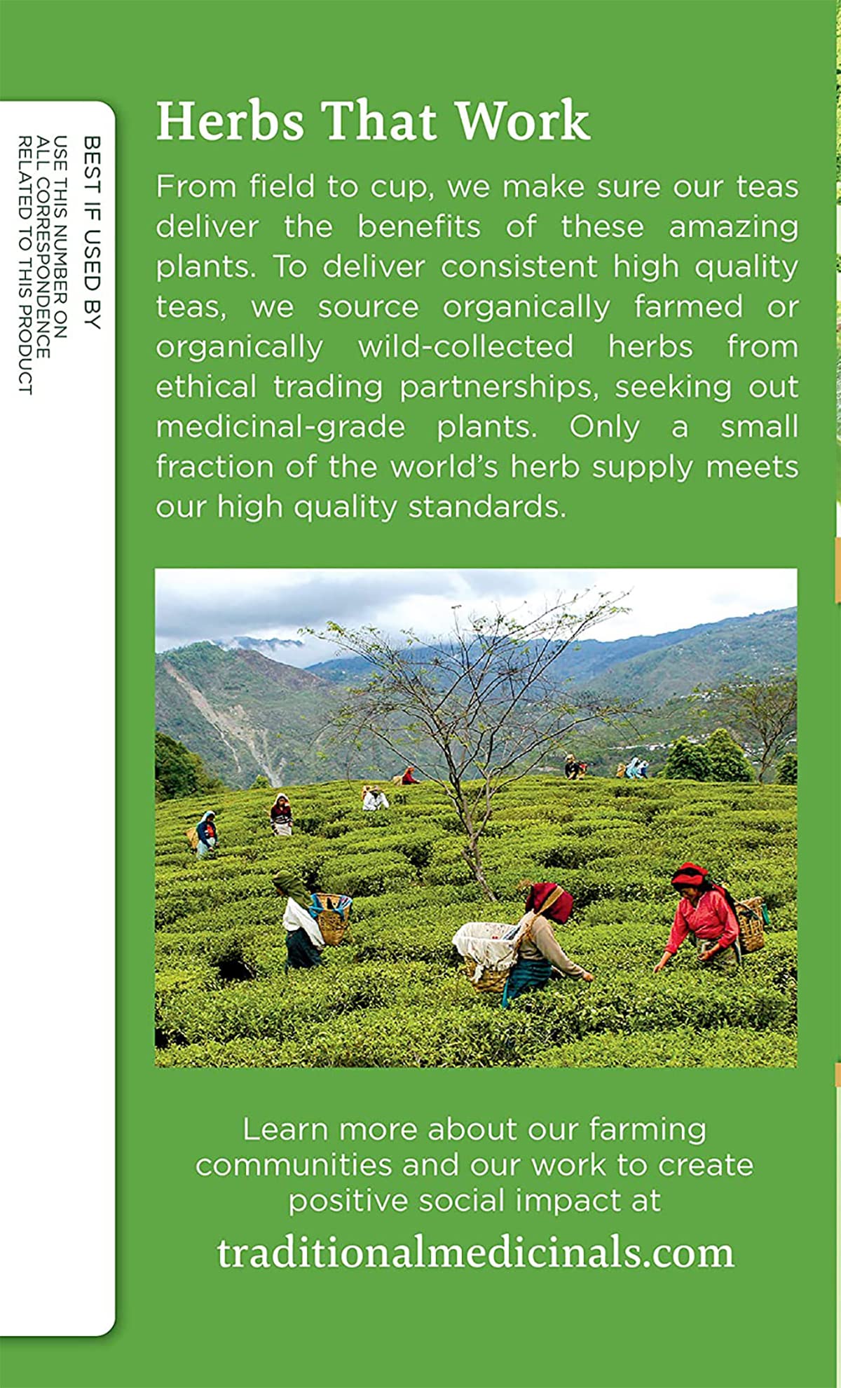 Traditional Medicinals Organic Green Tea With Toasted Rice, Matcha (Pack of 2) 32 Tea Bags Total