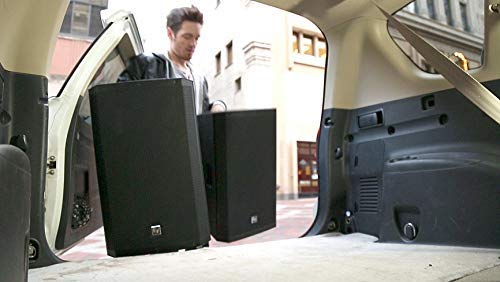 ZLX-15BT 15-inch 1000-Watt Bluetooth Powered Loudspeaker(Renewed)