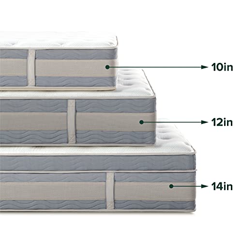 ZINUS 14 Inch Green Tea Cooling Gel Memory Foam Hybrid Mattress, Queen, Pocket Innersprings for Motion Isolation, Mattress in A Box