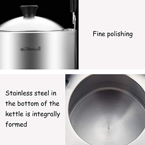 ZNZN Creative Silver Kettle Whistling Kettle-Stylish Stainless Steel Teapot with Ergonomic Anti-Scald Handle (4.5L, 152.1OZ) Multifunctional Water Kettle