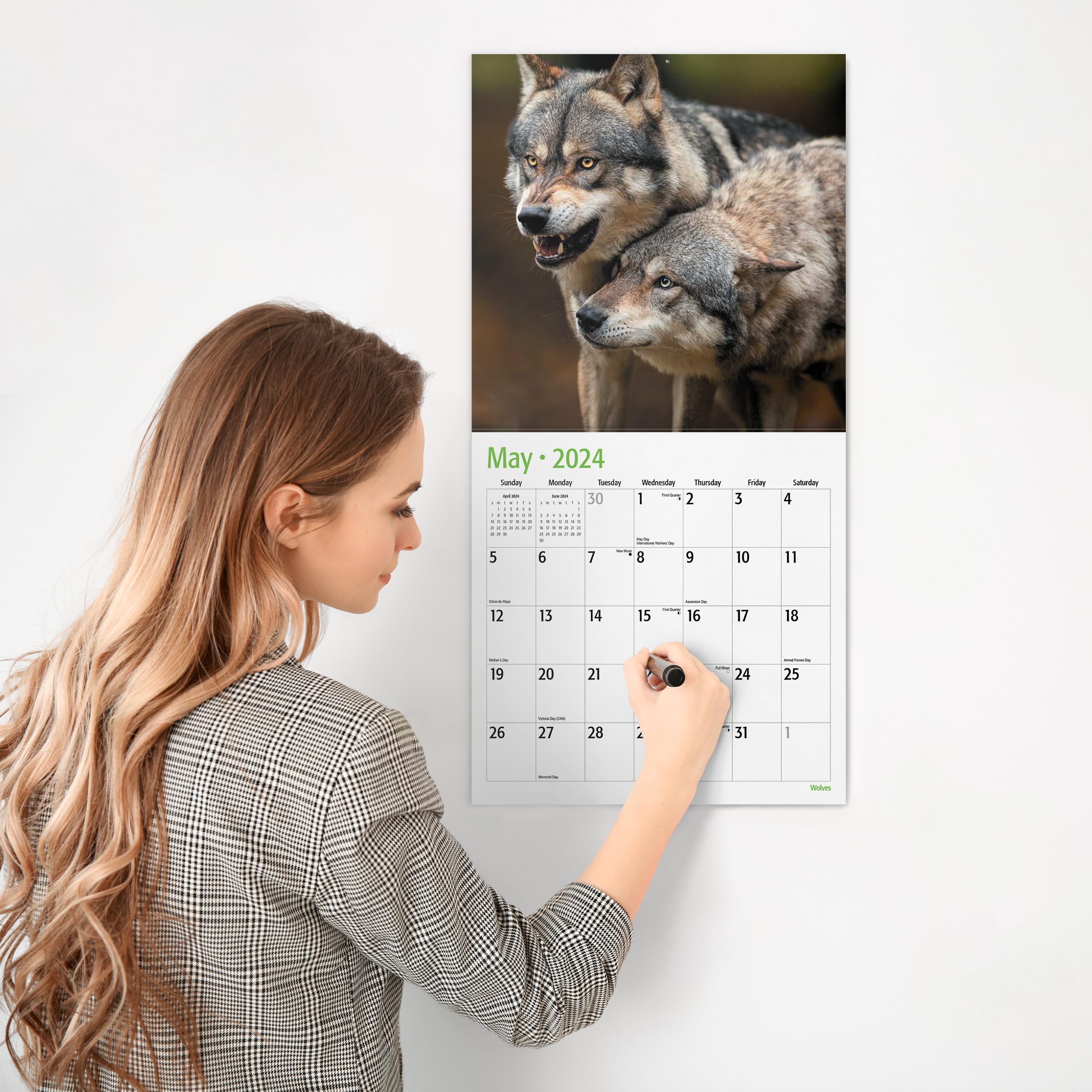 Wolves 2024 Hangable Monthly Wall Calendar by Red Ember Select Series | 12" x 24" Open | Thick & Sturdy Paper | Giftable | Animals | The World's Most Beautiful Wolves