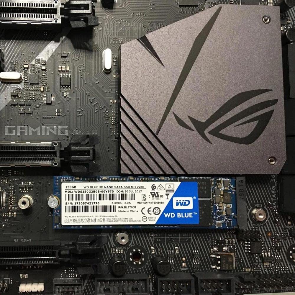 Western Digital 250GB WD Blue 3D NAND Internal PC SSD - SATA III 6 Gb/s, M.2 2280, Up to 550 MB/s - WDS250G2B0B
