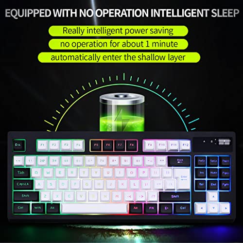ZJFKSDYX C87 Wireless Gaming Keyboard and Mouse Combo, LED Backlit Rechargeable Mechanical Feeling Keyboard and Ergonomic Mouse for PC, Gaming Console (W/B)