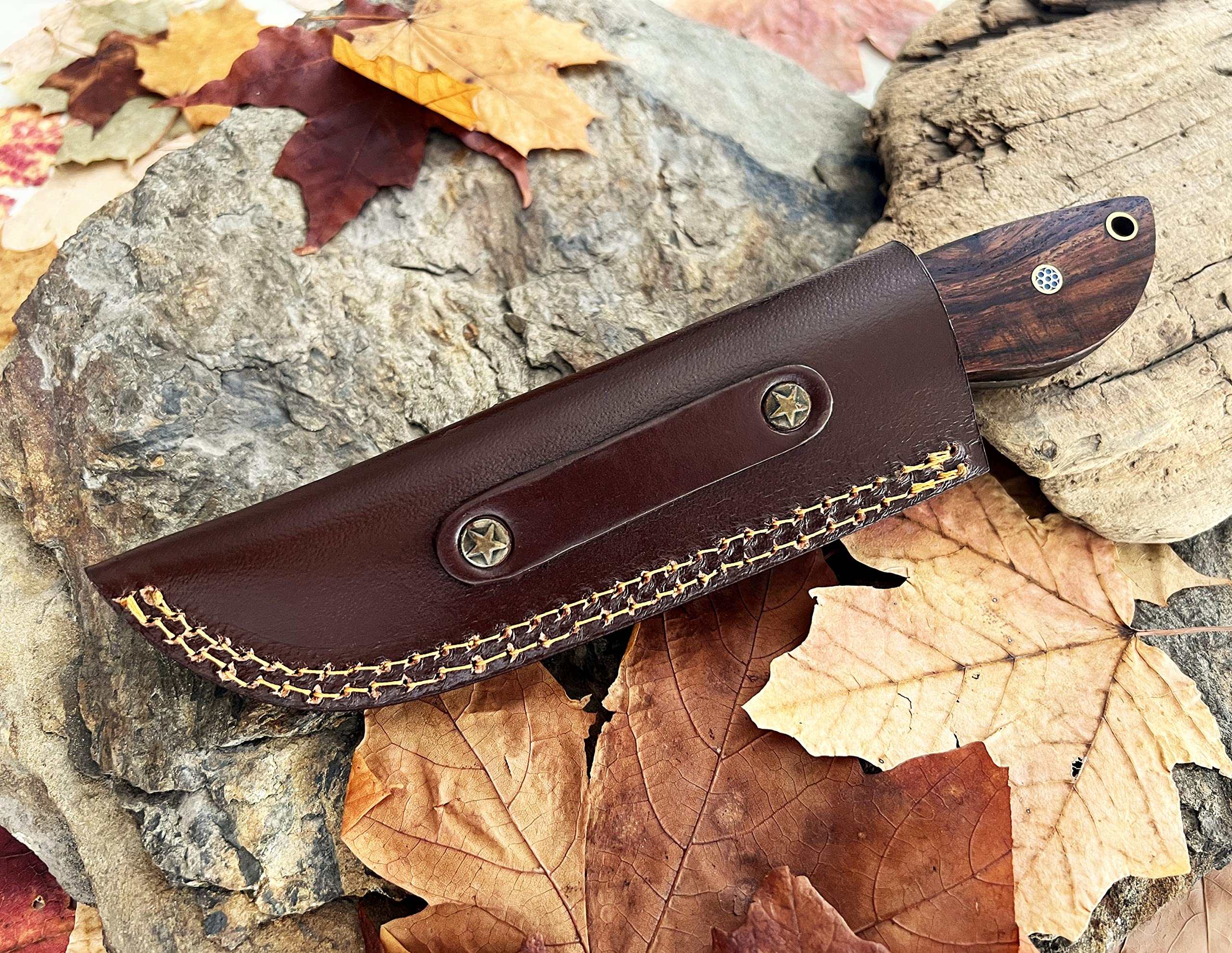 WINTERFELL Personalized Fixed Blade Damascus Hunting Knife with Sheath, Engraved Custom Gifts For Hunter, Customized Gift For Husband, Dad, Son, Unique Father's Day Gift (Brown)