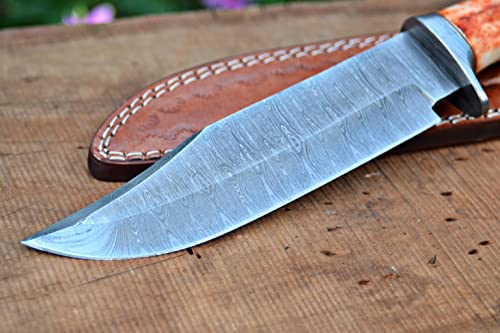 UK UNIQUE SHARP KNIVES BK-3004 Handmade Damascus Steel 12.00 Inches Damascus Steel Hunting Knife - Coloured Camel Bone Brass Spicer Handle With Damascus Gurd/pommel