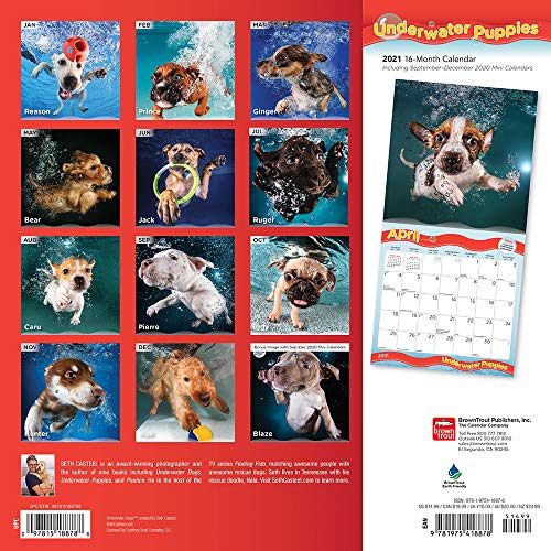 Underwater Puppies 2021 12 x 12 Inch Monthly Square Wall Calendar, Pet Humor Puppy