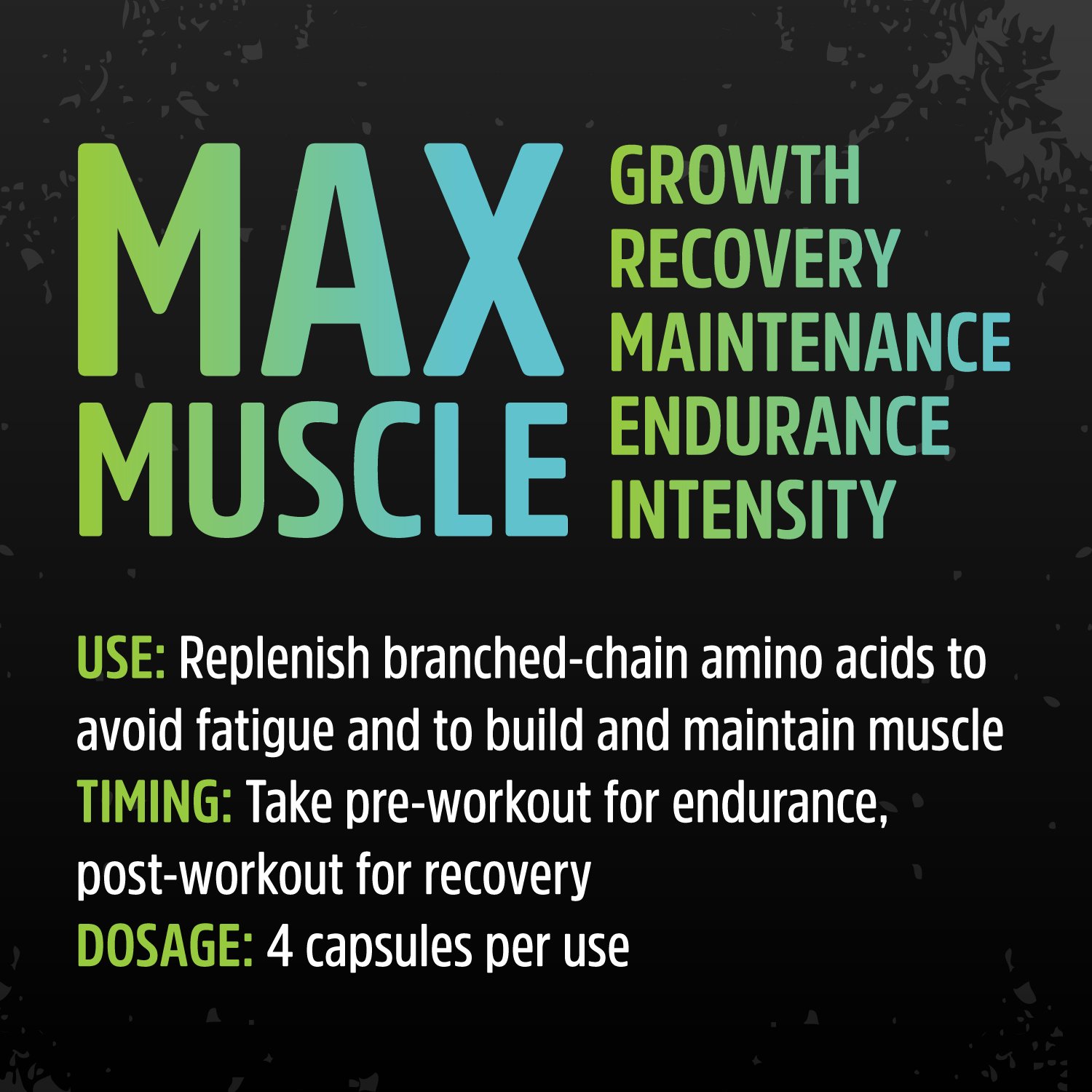 Zhou Muscle BCAA | Branched Chain Amino Acids | Build Muscle, Improve Recovery, and Increase Endurance | 30 Servings, 120 Capsules