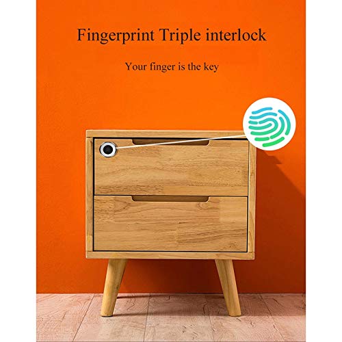 XIAODOU Zinc Alloy Keyless Mini Fingerprint Cabinet Drawer Triple Interlock Lock Biometric Electric Lock for Office Desk