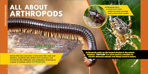 The Fascinating Bug Book for Kids: 500 Startling Facts! (Fascinating Facts)