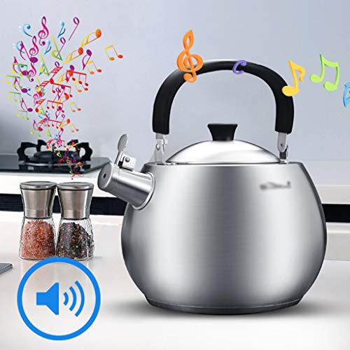 ZNZN Creative Silver Kettle Whistling Kettle-Stylish Stainless Steel Teapot with Ergonomic Anti-Scald Handle (4.5L, 152.1OZ) Multifunctional Water Kettle