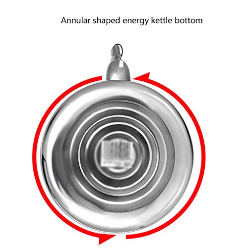 ZNZN Stainless Steel Kettle with Whistle Kettle with Ergonomic Handle Silver Large Capacity Kettle (4 L /135.2OZ, 5 L /169OZ) Multifunctional Water Kettle (Size : 5 L (169OZ))