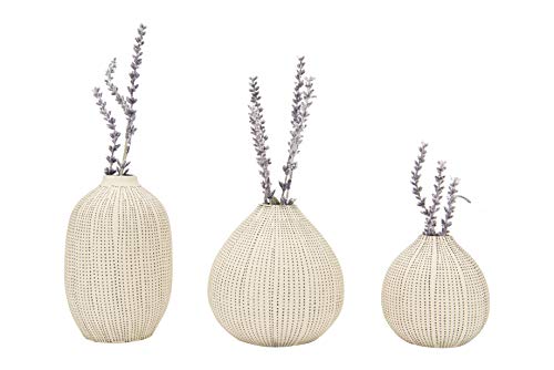 White Stoneware Vases with Textured Black Polka Dots (Set of 3 Sizes)