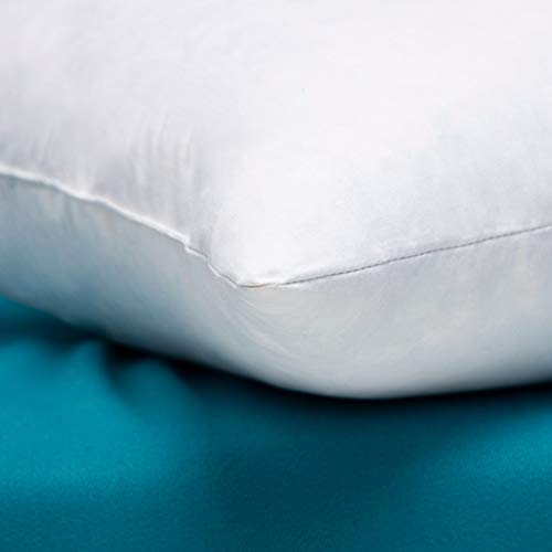 Warmwithann Set of 2, Cotton Fabric Square Pillow Inserts, Down and Feather Decorative Throw Pillows Inserts. 18"x18" Inches