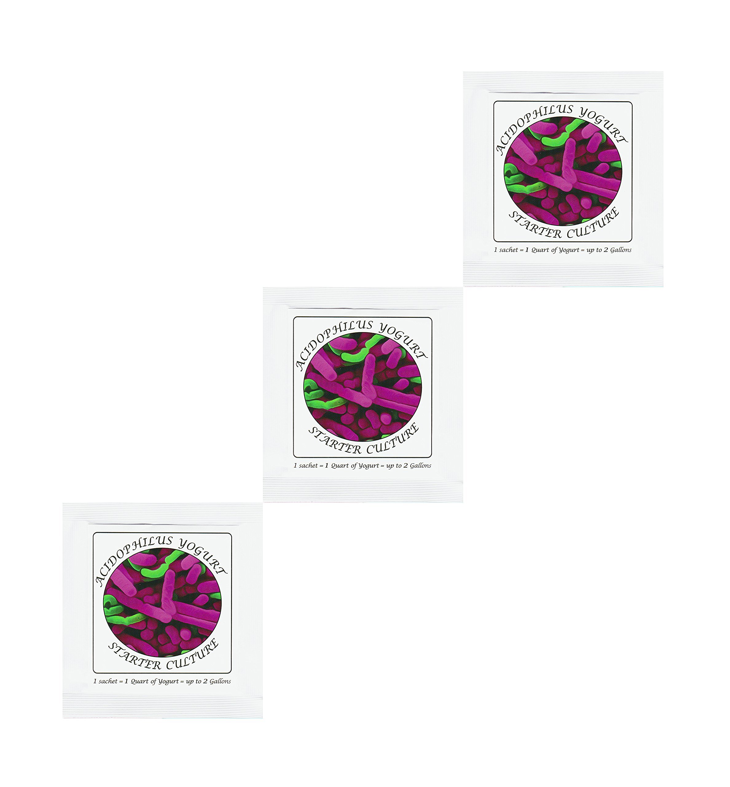 Yogurt Starter Cultures - Pack of 3 Freeze-dried Culture Sachets for Acidophilus Yogurt