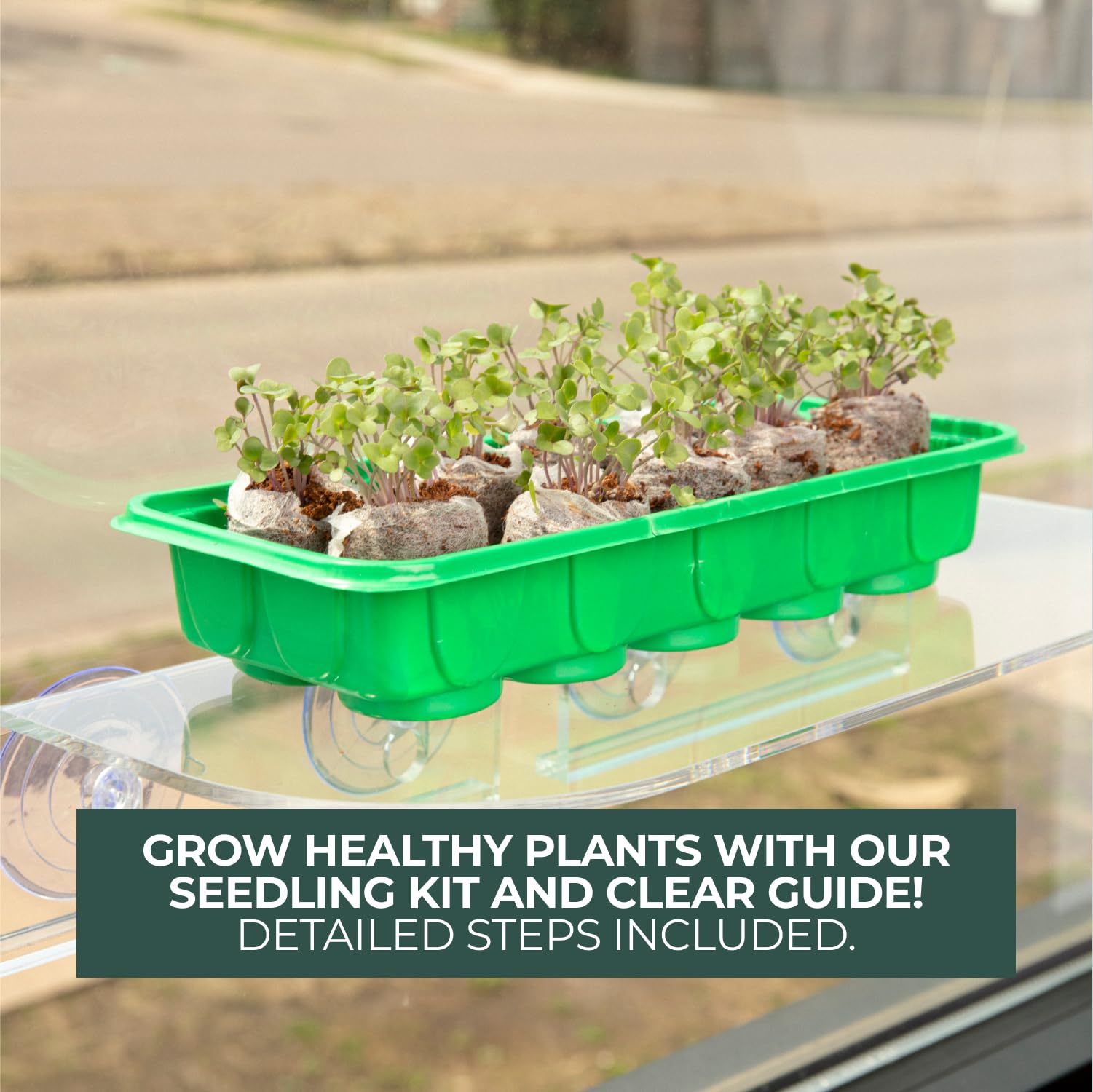 Window Garden Mini Greenhouse Seed Starter Kit β Reusable Seedling Trays - Indoor Germination Tray with Humidity Dome and Soil Pods - Windowsill Seeds Germinator - 30 Cells Starting Trays, 3 Pack
