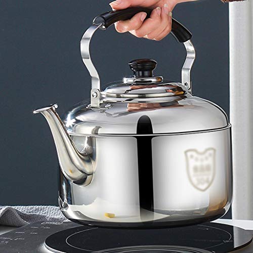 ZNZN Stainless Steel Kettle Stove Top Whistling Teapot Silver Classic Teapot Appearance Cooking Grade Ring Shaped Kettle Bottom Multifunctional Water Kettle (Color : 8L)