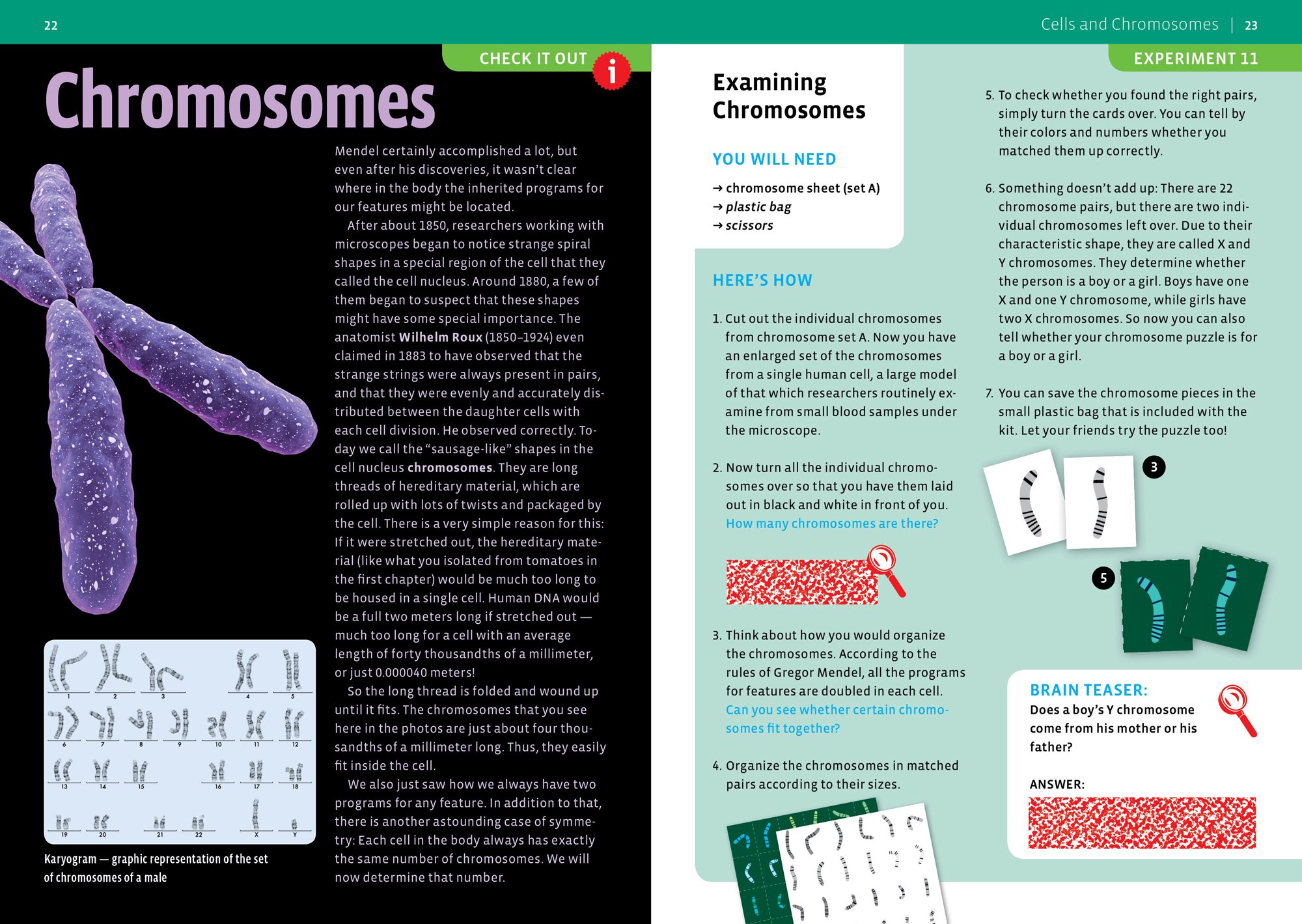 Thames & Kosmos Biology Genetics and DNA Multicolor, med